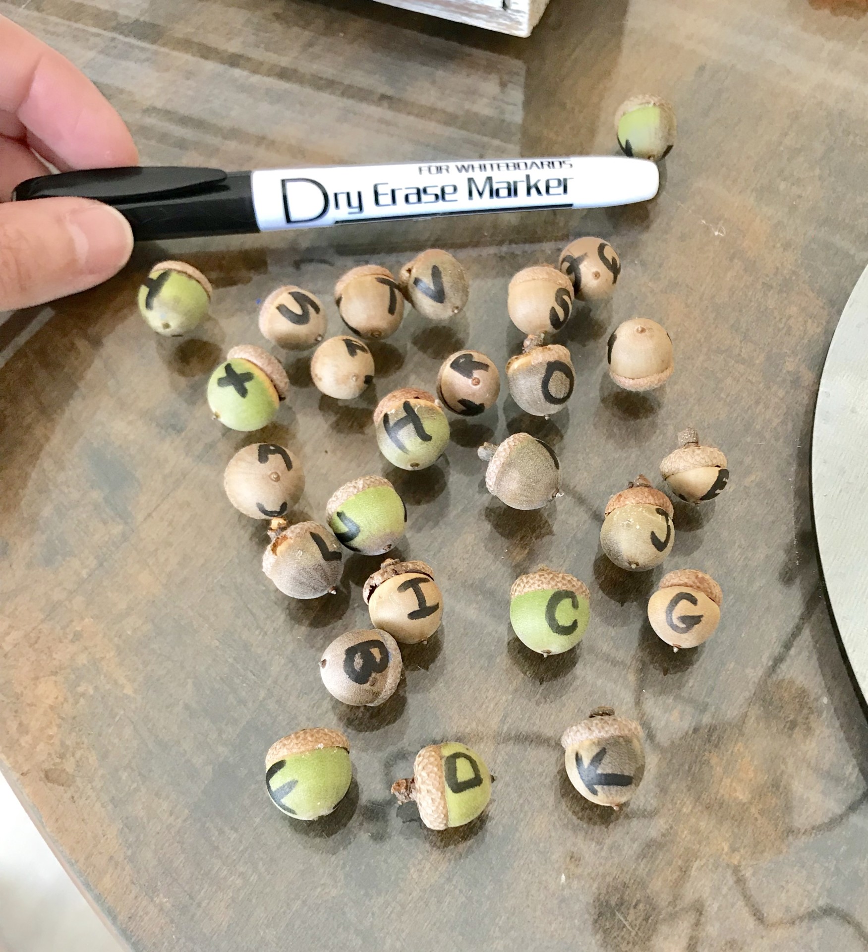 Acorn Alphabet Learning Activity for Fall with Nature Walk