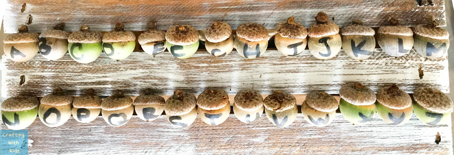 Acorn Alphabet Learning Activity for Fall with Nature Walk