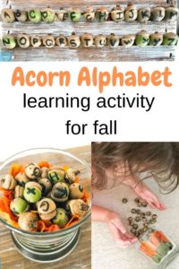 Acorn Alphabet Learning Activity for Fall with Nature Walk