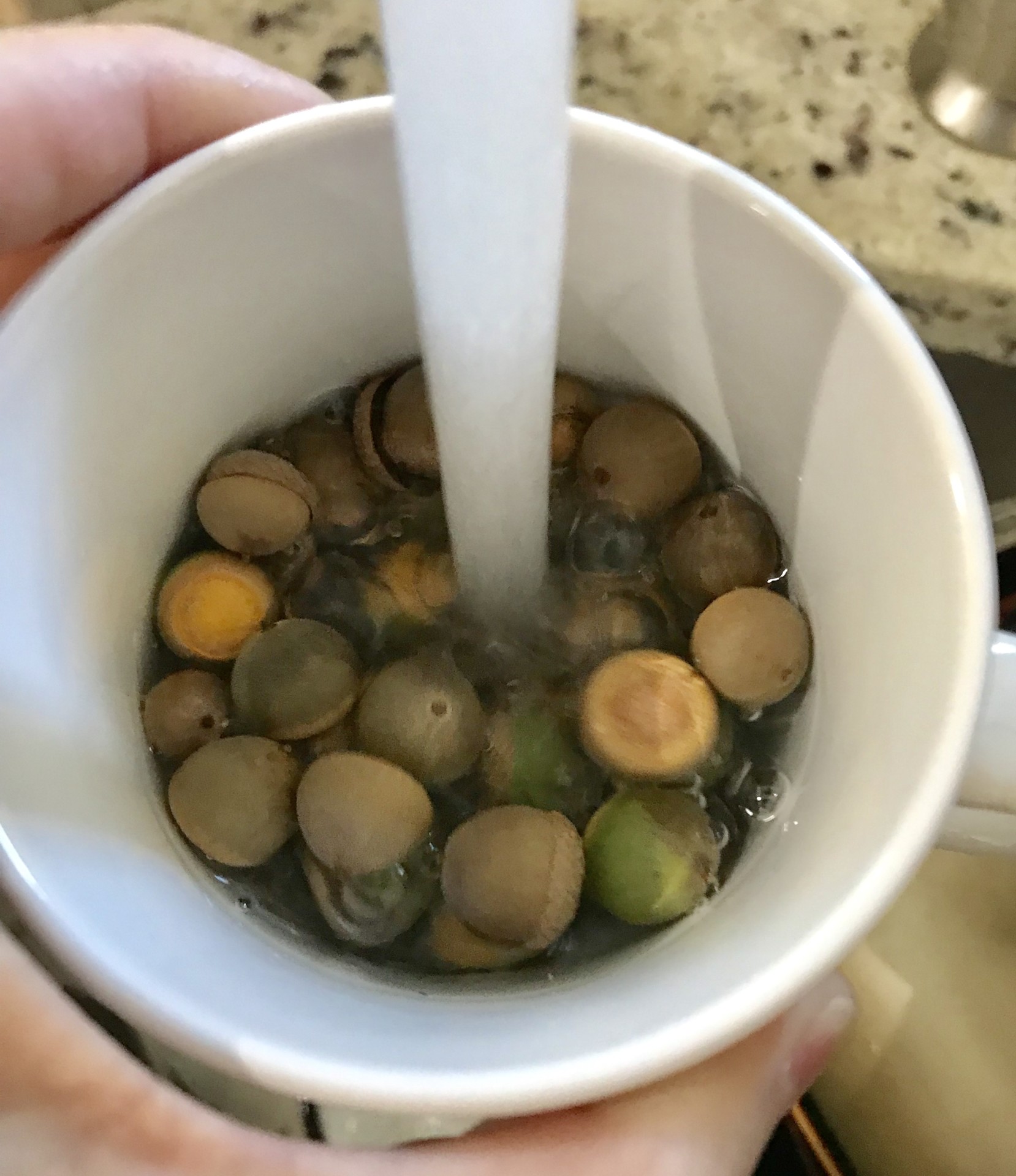 Acorn Alphabet Learning Activity for Fall with Nature Walk