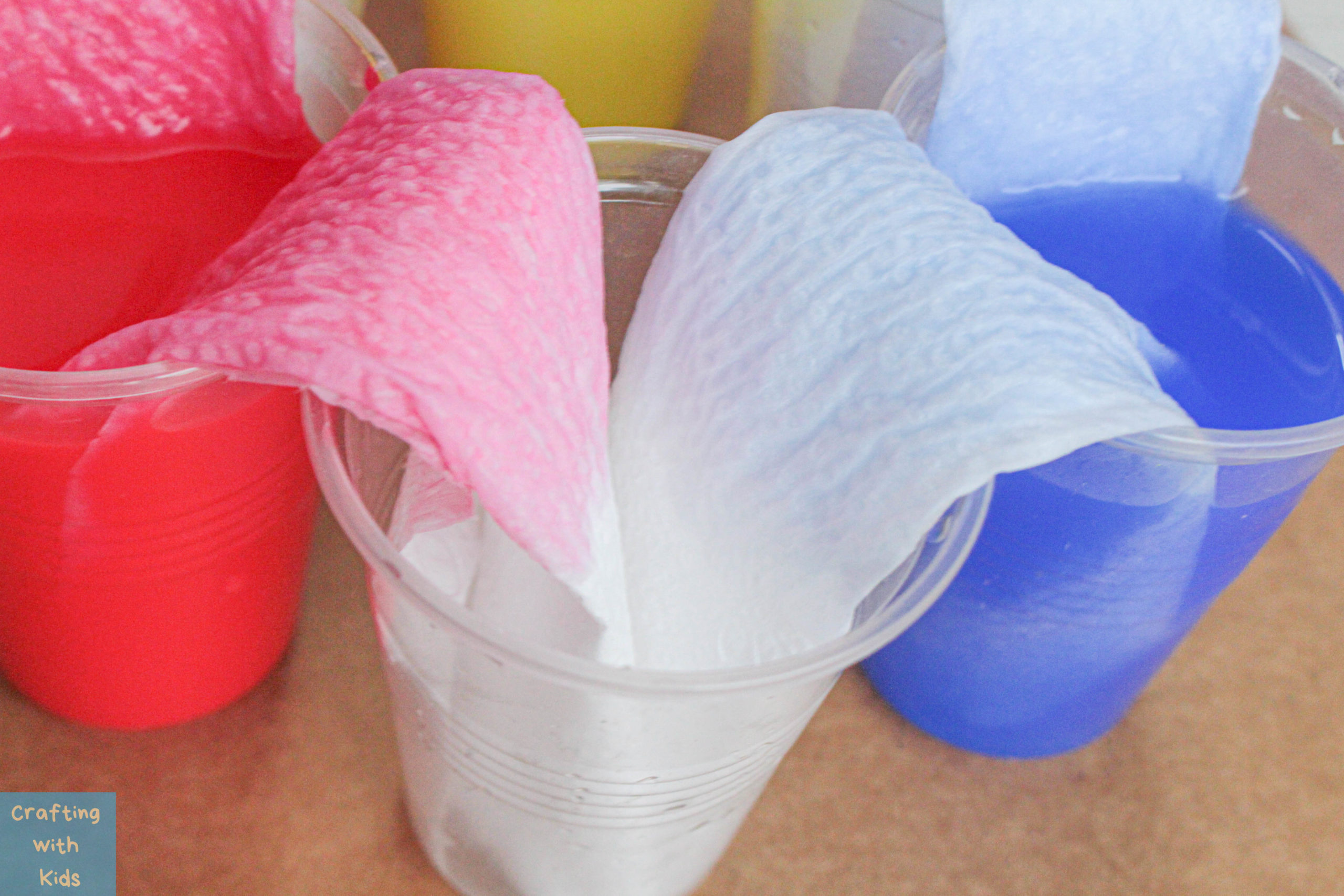 Walking Rainbow Science Experiment; Fun Water Project for Kids