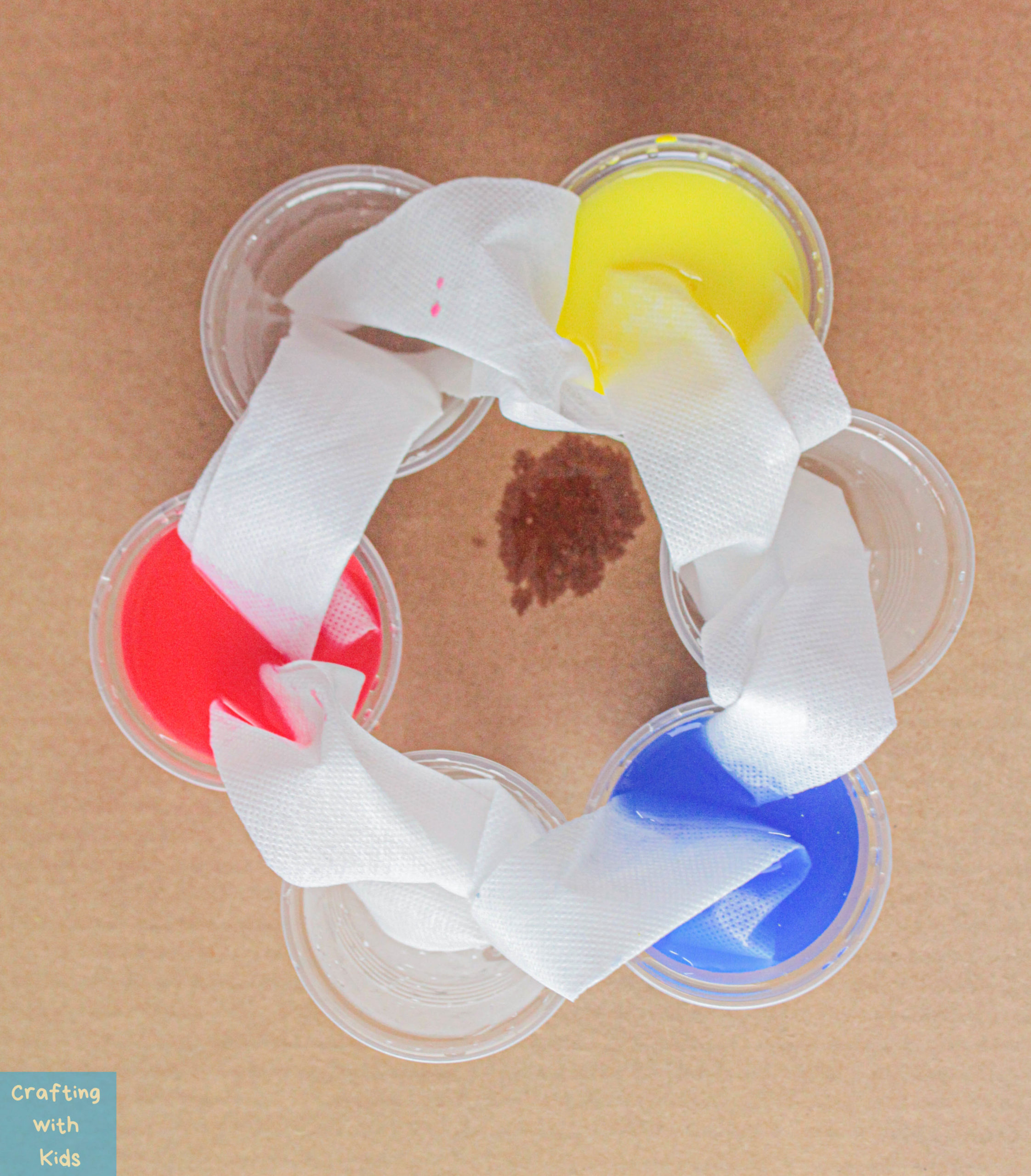 Walking Rainbow Science Experiment; Fun Water Project for Kids