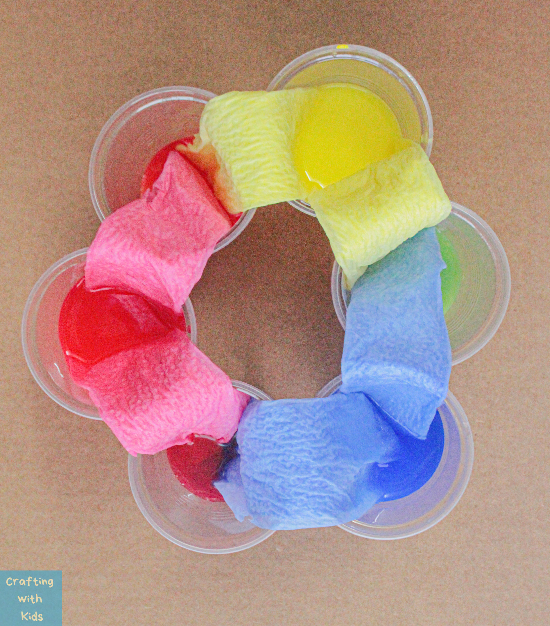 Walking Rainbow Science Experiment; Fun Water Project for Kids