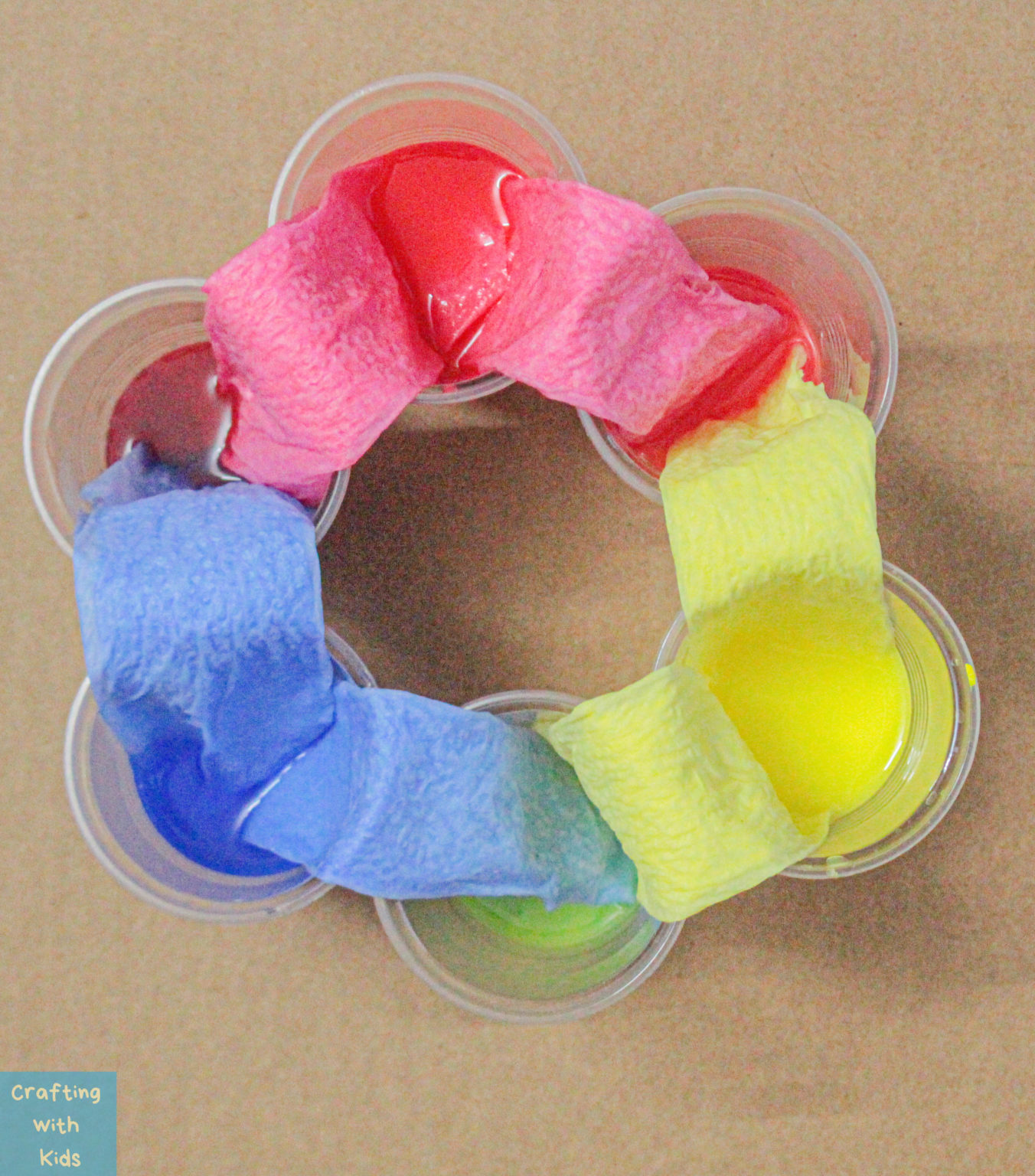 Walking Rainbow Science Experiment; Fun Water Project for Kids