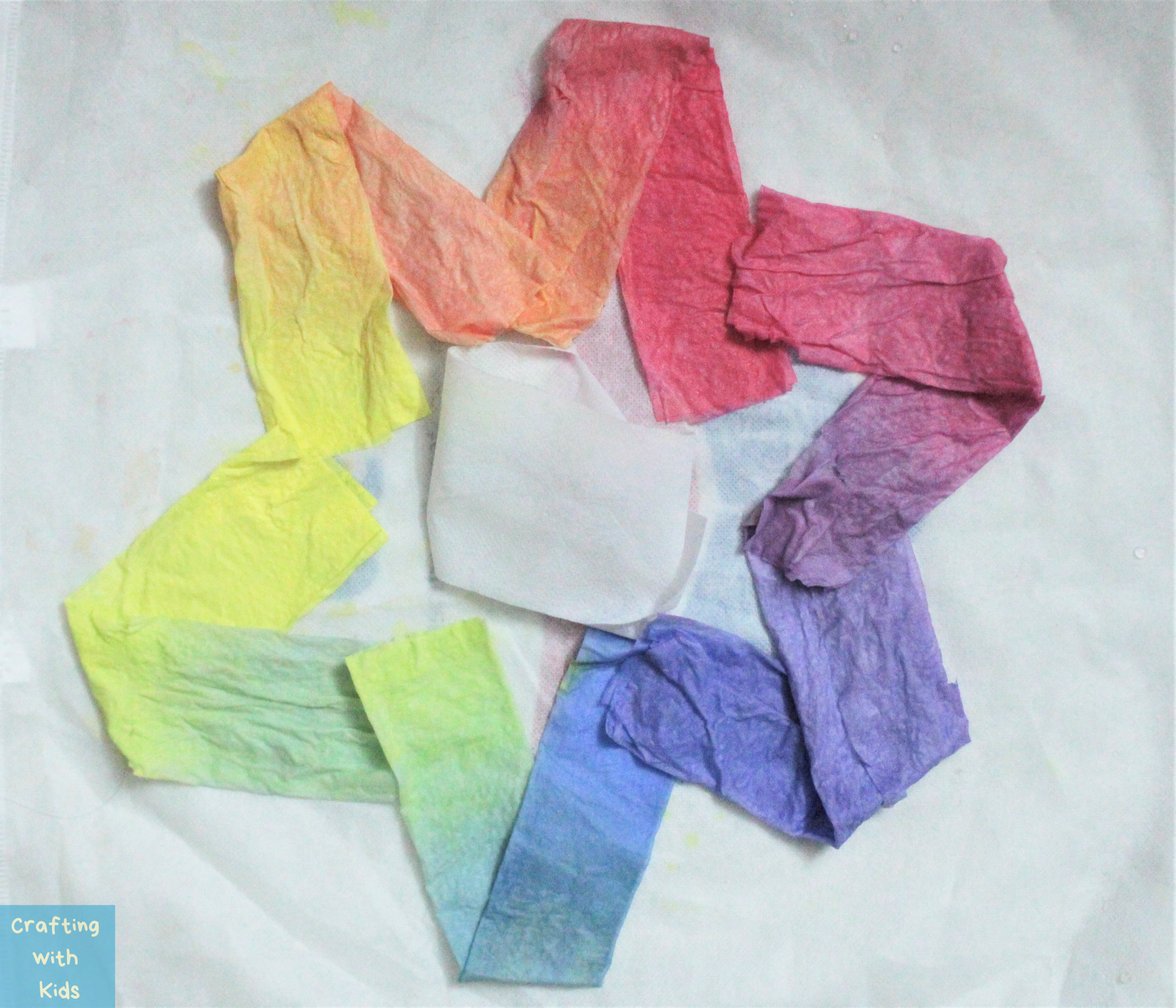 Walking Rainbow Science Experiment; Fun Water Project for Kids