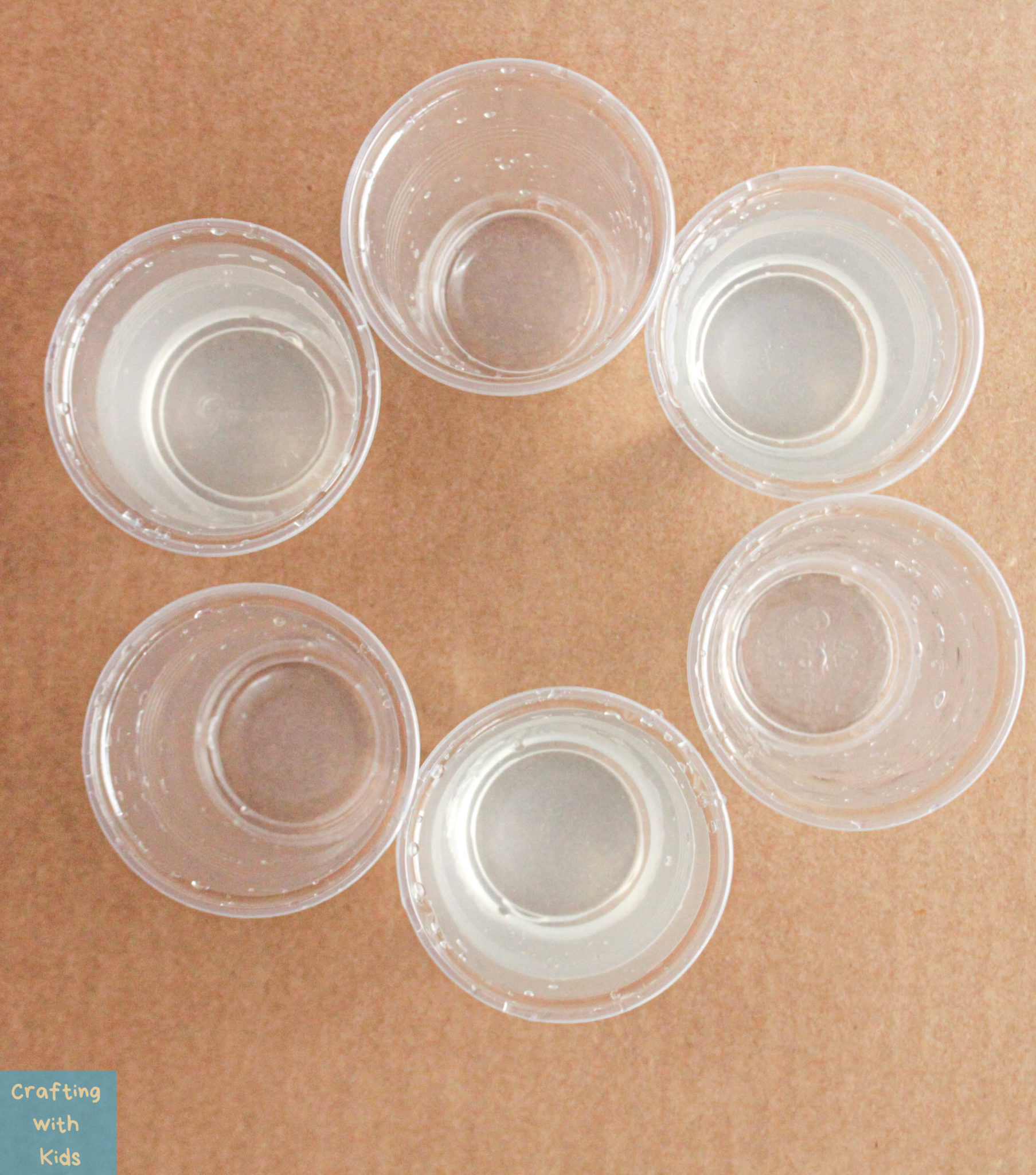 Walking Rainbow Science Experiment; Fun Water Project for Kids