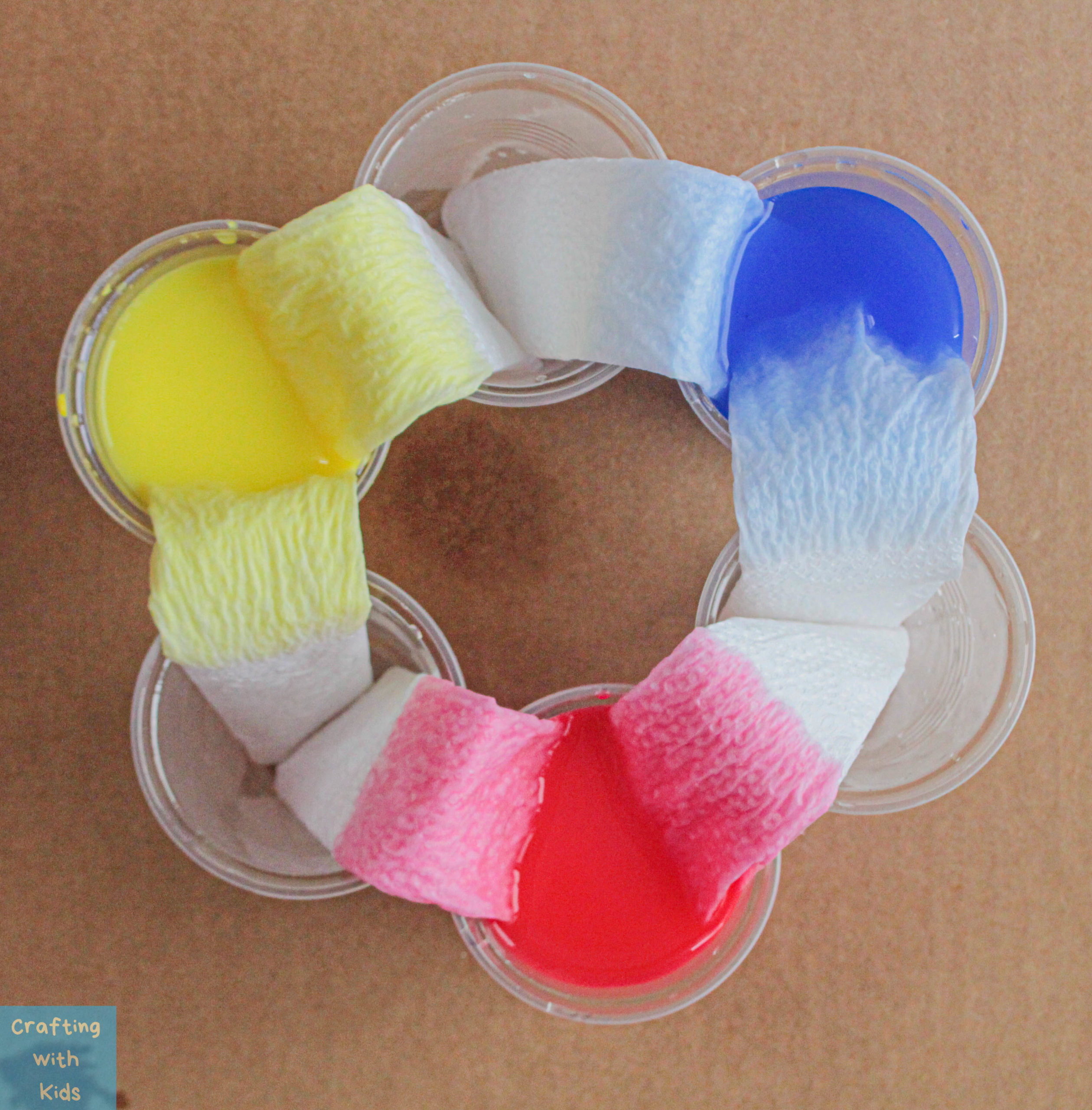 Walking Rainbow Science Experiment; Fun Water Project for Kids