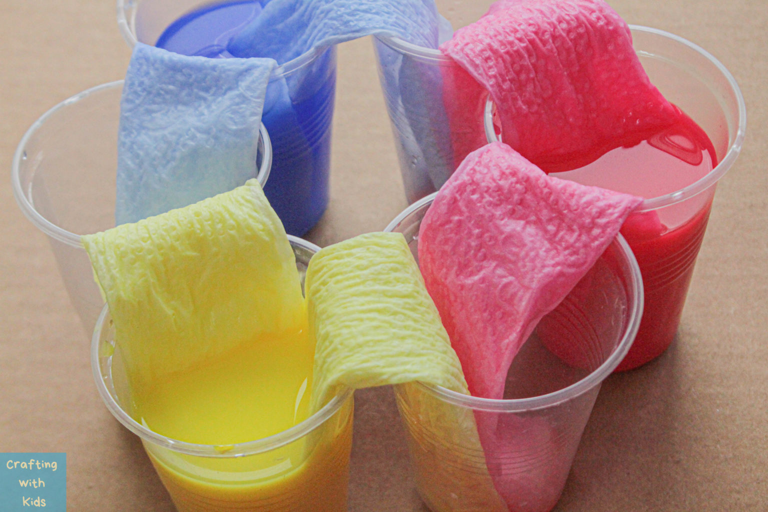 Walking Rainbow Science Experiment; Fun Water Project for Kids