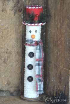 Toilet Paper Roll Christmas Crafts for Kids