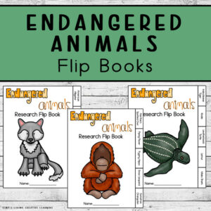 Flip Book Ideas for Kids with Teachable Flip Book Templates