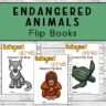 Flip Book Ideas for Kids with Teachable Flip Book Templates