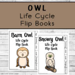 Flip Book Ideas for Kids with Teachable Flip Book Templates