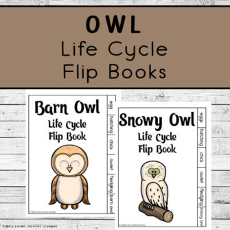 Flip Book Ideas for Kids with Teachable Flip Book Templates
