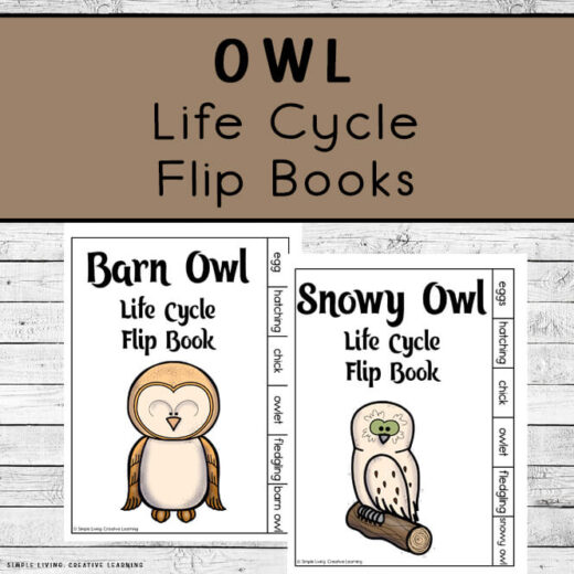 Flip Book Ideas for Kids with Teachable Flip Book Templates