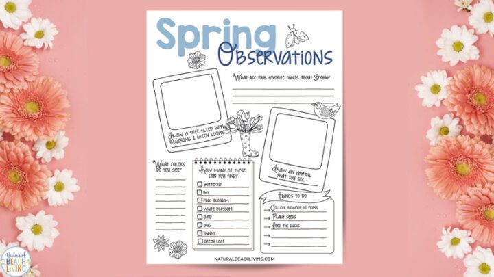 Spring Activity Ideas for Kids to Keep Them Active & Engaged