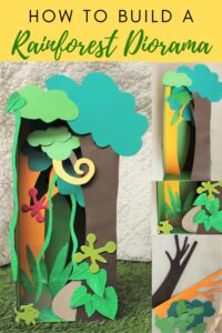 How to Make a Rainforest Diorama for Kids: Step-by-Step Guide