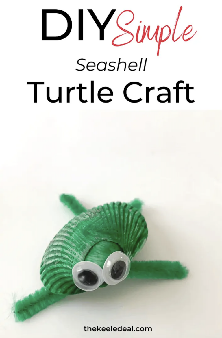 Shell Crafts for Kids: Easy DIY Projects for Creative Fun