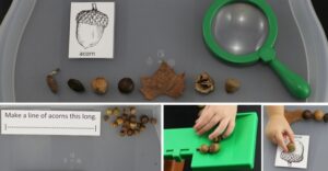 Awesome and Engaging Acorn Activities for Toddlers