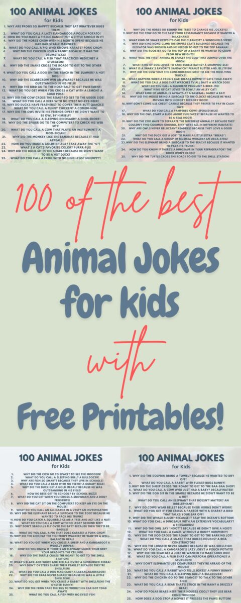 100 Funny Animal Jokes for Kids that will keep them Laughing