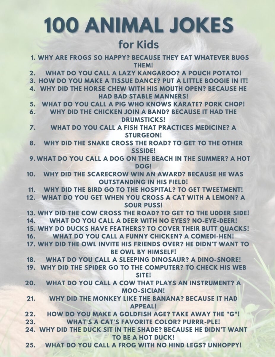 100 Funny Animal Jokes for Kids that will keep them Laughing