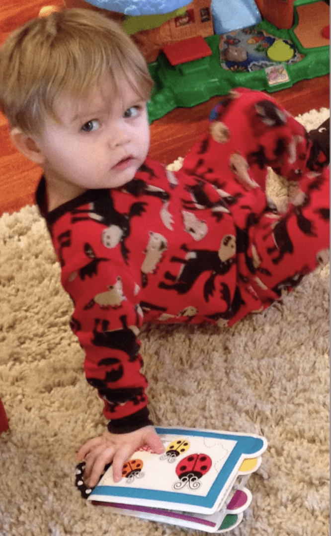 Peekaboo Flap Books for Toddlers: Easy Learning Fun