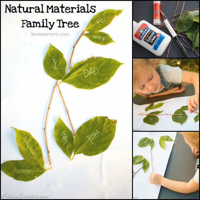 Best Outdoor Tree Activities for Kids to Enjoy Outside