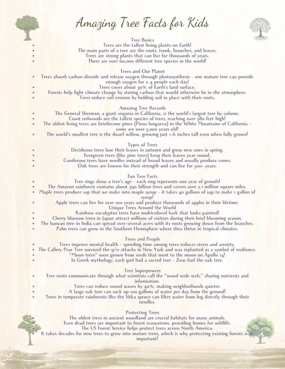 Tree Facts for Kids with Free Printable Sheet