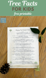 Tree Facts for Kids with Free Printable Sheet