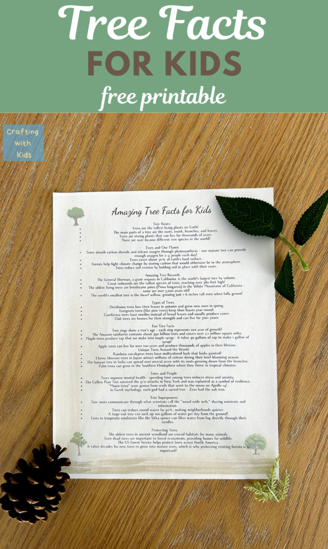 Tree Facts for Kids with Free Printable Sheet