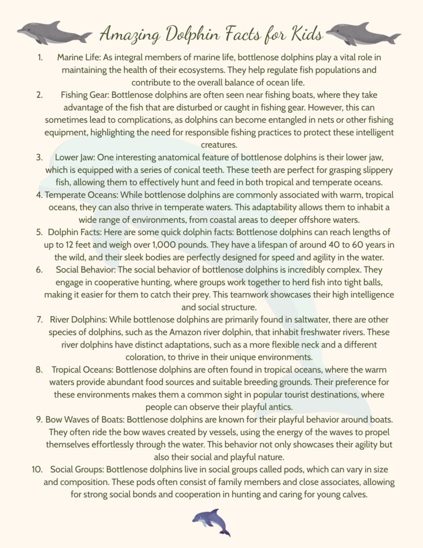 Bottlenose Dolphins: 20 Amazing Facts for Kids!