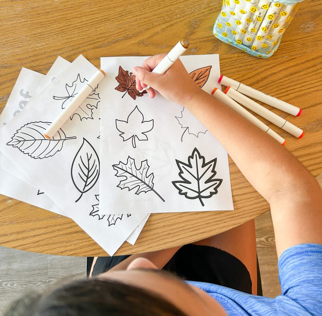 Free Printable Autumn Leaves Templates for Fall Crafts