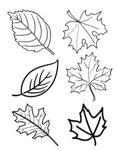 free printable autumn leaves templates